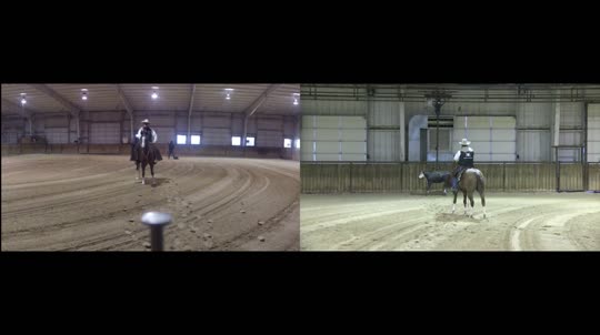 John Mitchell: Working the Mechanical Cow - Cutting Horse Training ...