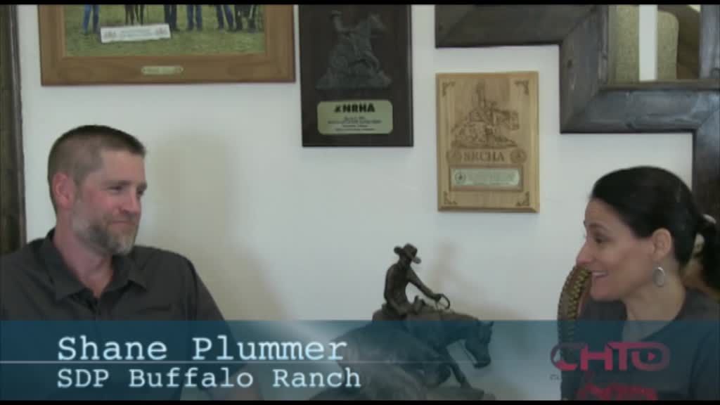 How To Market A Stallion With Shane Plummer - Cutting Horse Training ...