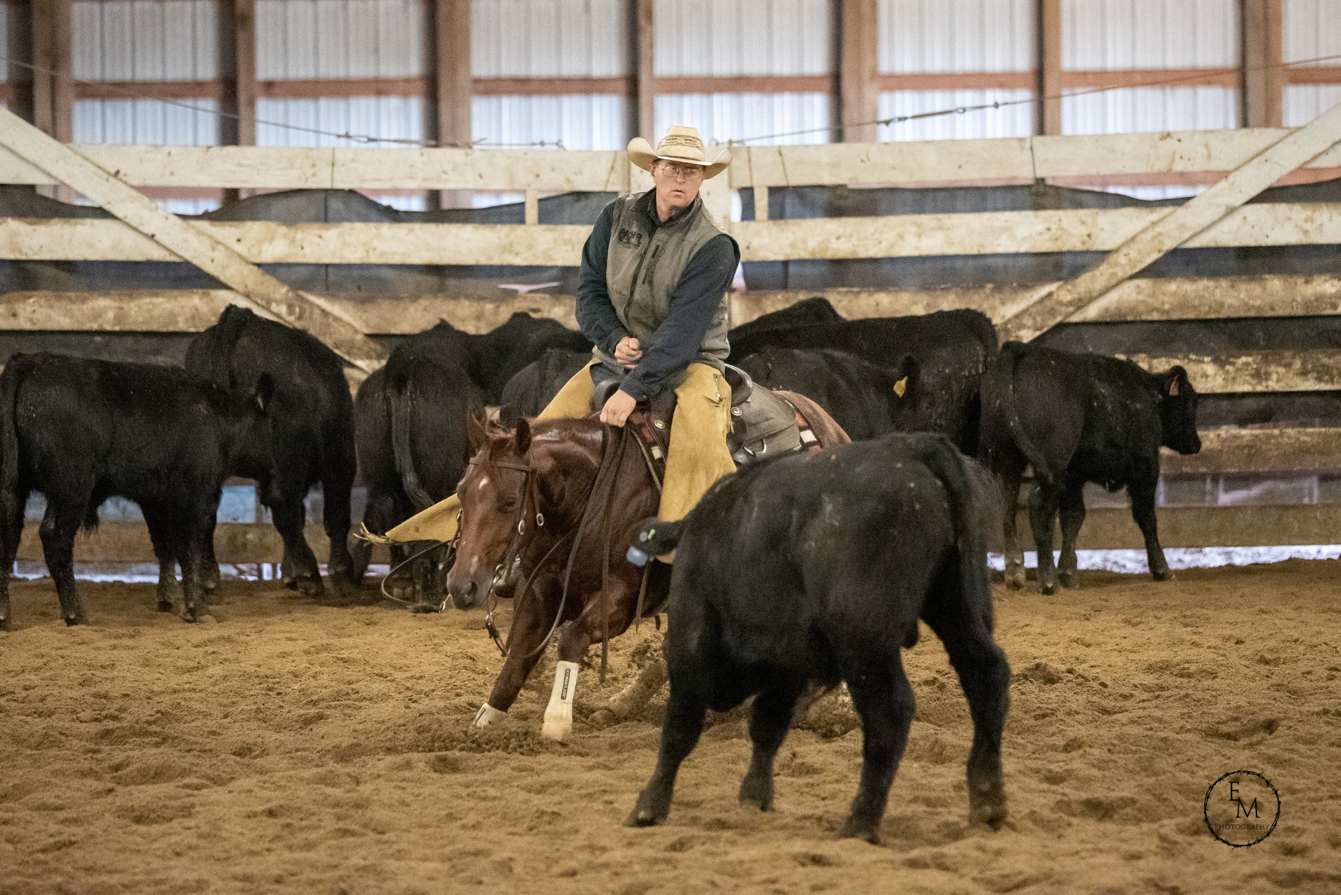 News - Cutting Horse Training Videos, Clinics, Coaching - CHTOLive