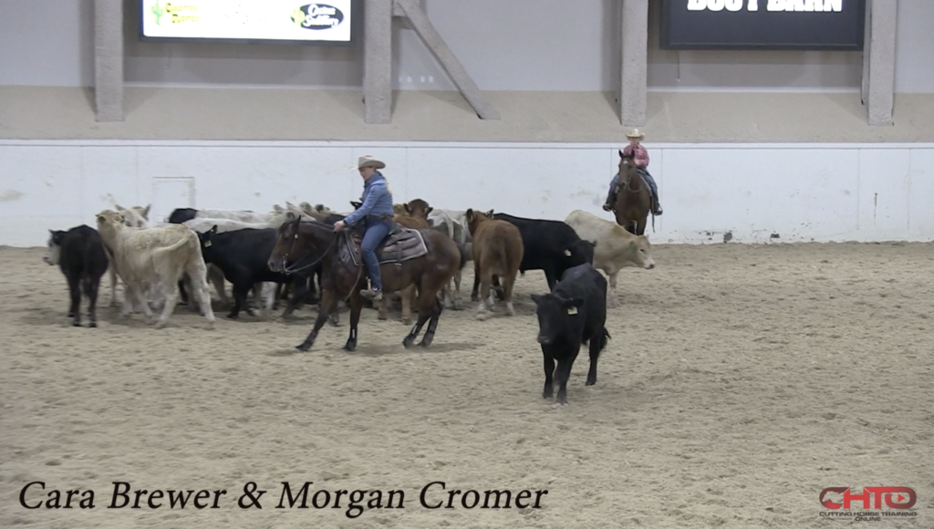 How To Slow Down Over-Achieving Cow-Smart Horses! - Cutting Horse ...